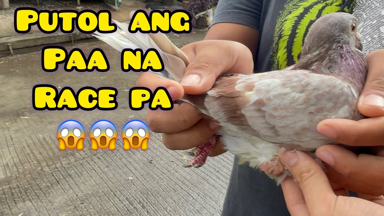 KAHIT PUTOL PAA SINALI PA SA RACE AT STREET FIGHT😱😱 ITO ANG TOTOONG ...