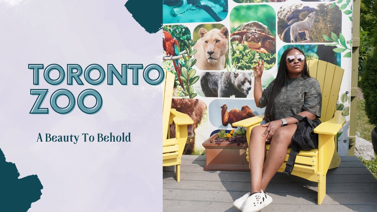 Full Tour in Canada's Largest Zoo | Toronto Zoo - YouTube