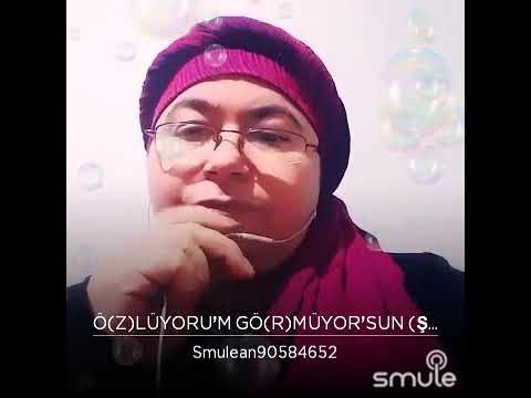 Şiir :özlüyorum görmüyormusun. Yorum :Nebahat Kılakay