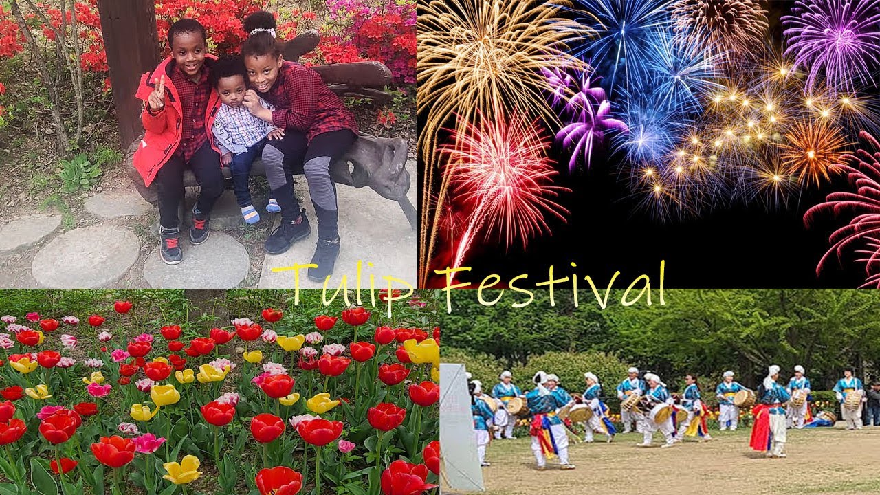 Spring Flower Festival 2023 In Korea With Fireworks | Tulips Blooming ...
