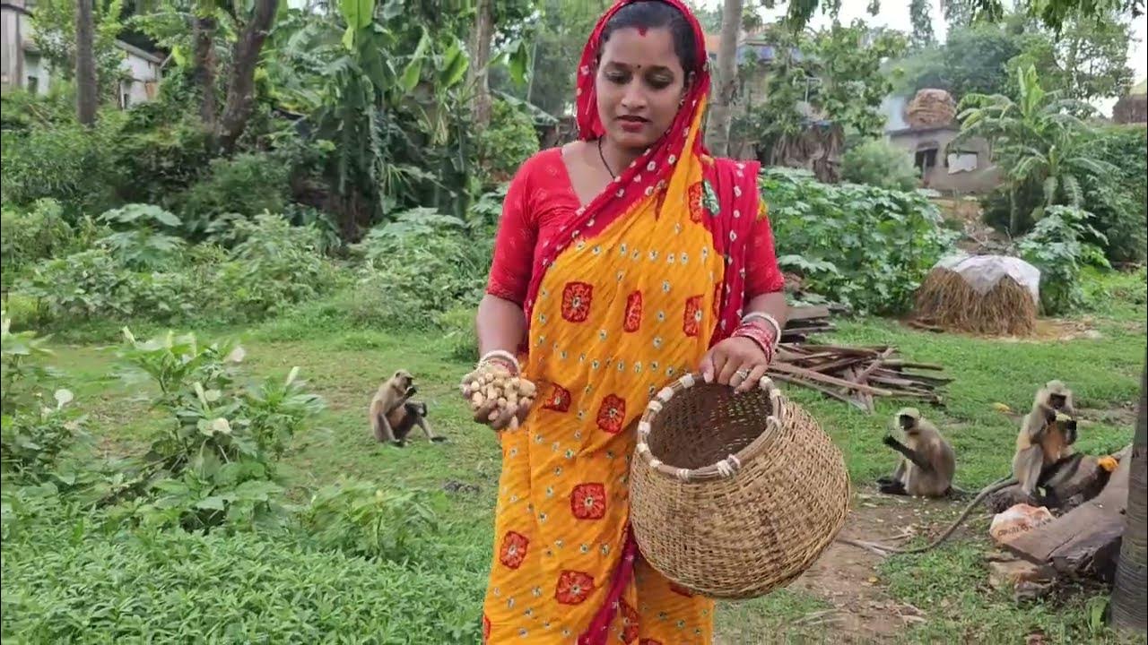 Memory moments of Monalisa and Sundri Chulbuli - YouTube