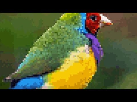 PIXEL ART 8 BIT CREATIONS (BIRDS) - YouTube