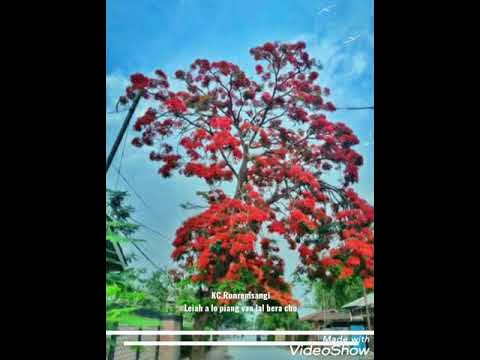 KC.Runremsangi - Leiah a lo piang van lal bera chu - YouTube