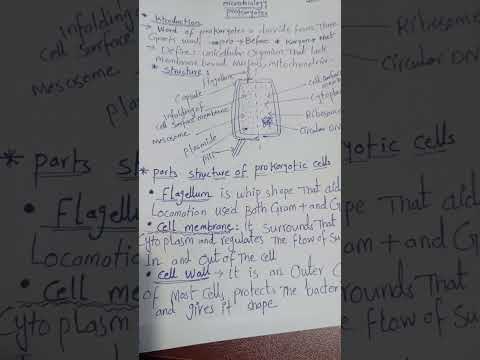 Prokaryotic cells part 1 - YouTube