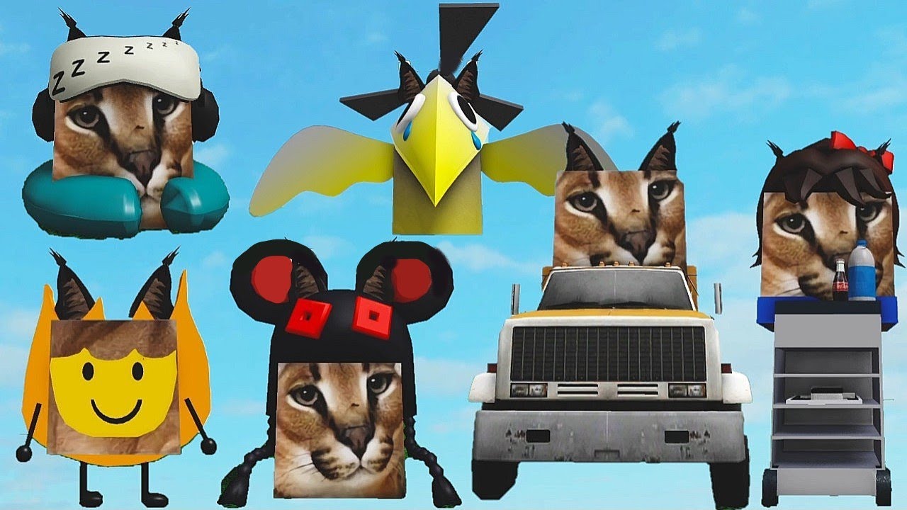 FIND the FLOPPA MORPHS *How to get ALL 6 NEW Floppa Morphs and Badges ...