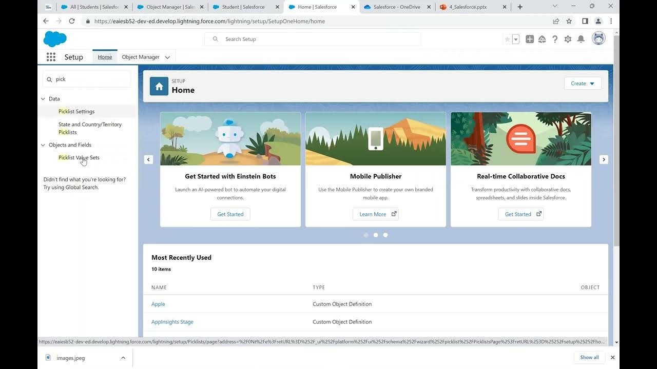 Salesforce : Picklist | Multi-Select-Picklist | Global Value Sets - YouTube