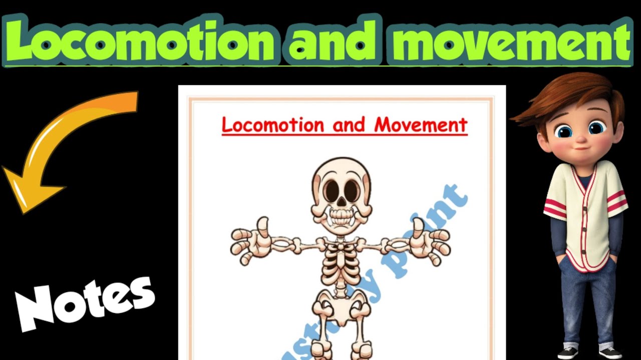 | Locomotion and movement |Best notes |Class 11| Biology | Ch-20 ...