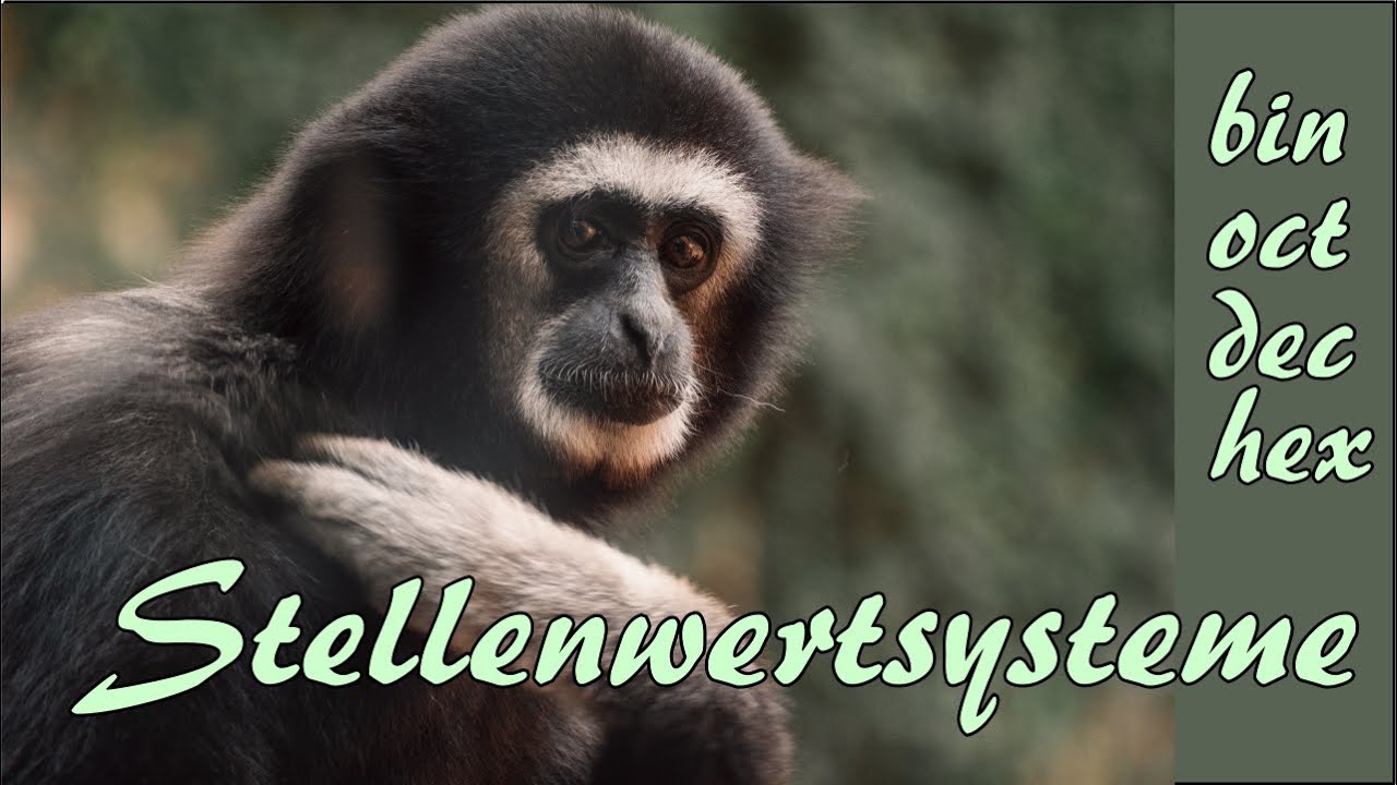 Stellenwertsysteme| Mathematik| Binäre Zahlen| Bit und Byte - YouTube