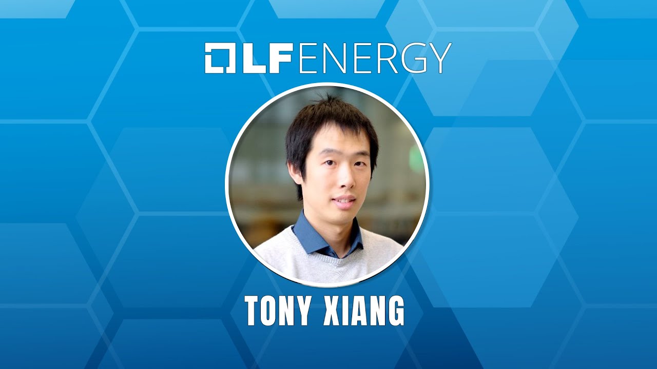 Power Grid Model - LF Energy