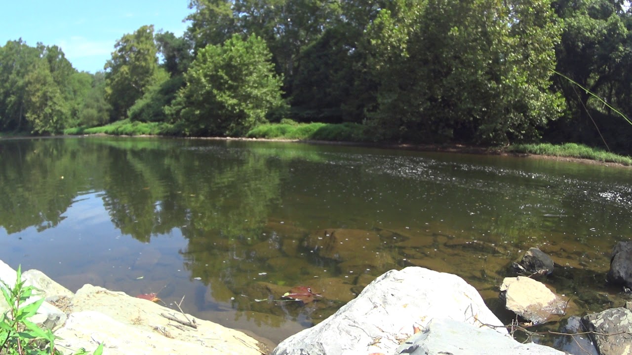 Fly Fishing Neshaminy Creek Playwicki Park - YouTube