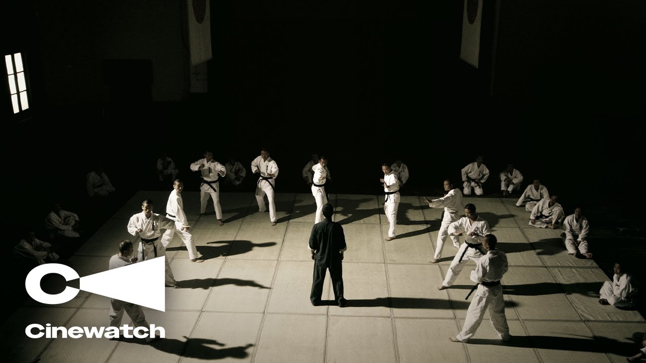 Ip Man | One vs. Ten Scene - YouTube