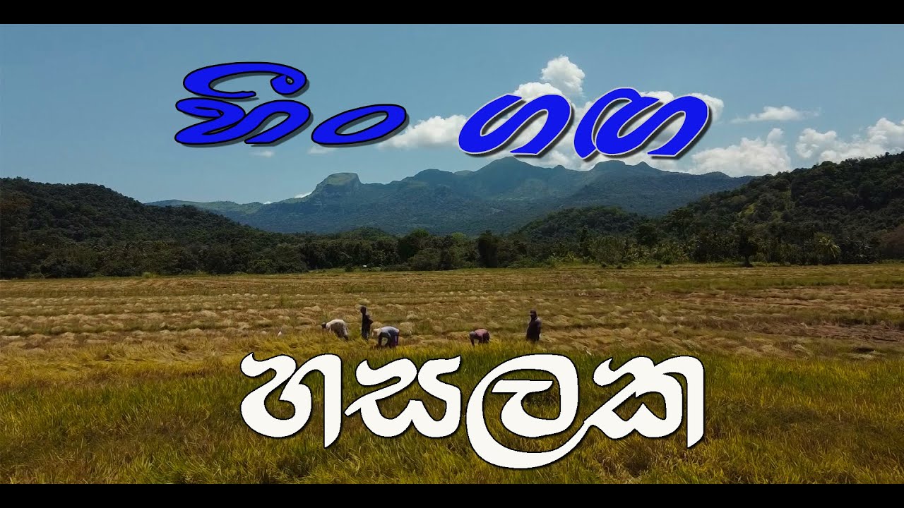 හීං ගඟ _ හසලක soba Hasalaka - YouTube
