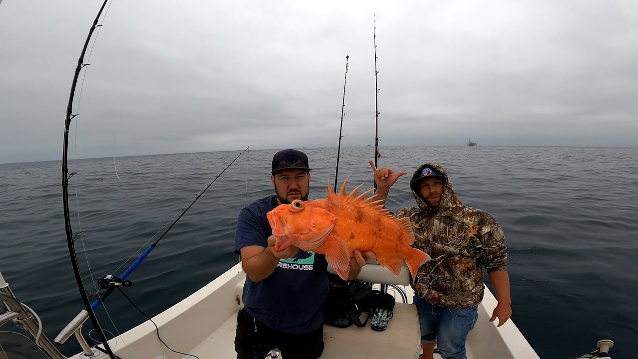Deepwater Rockfish, a JUMBO Cow Cod and some bonus Sand Bass action ...