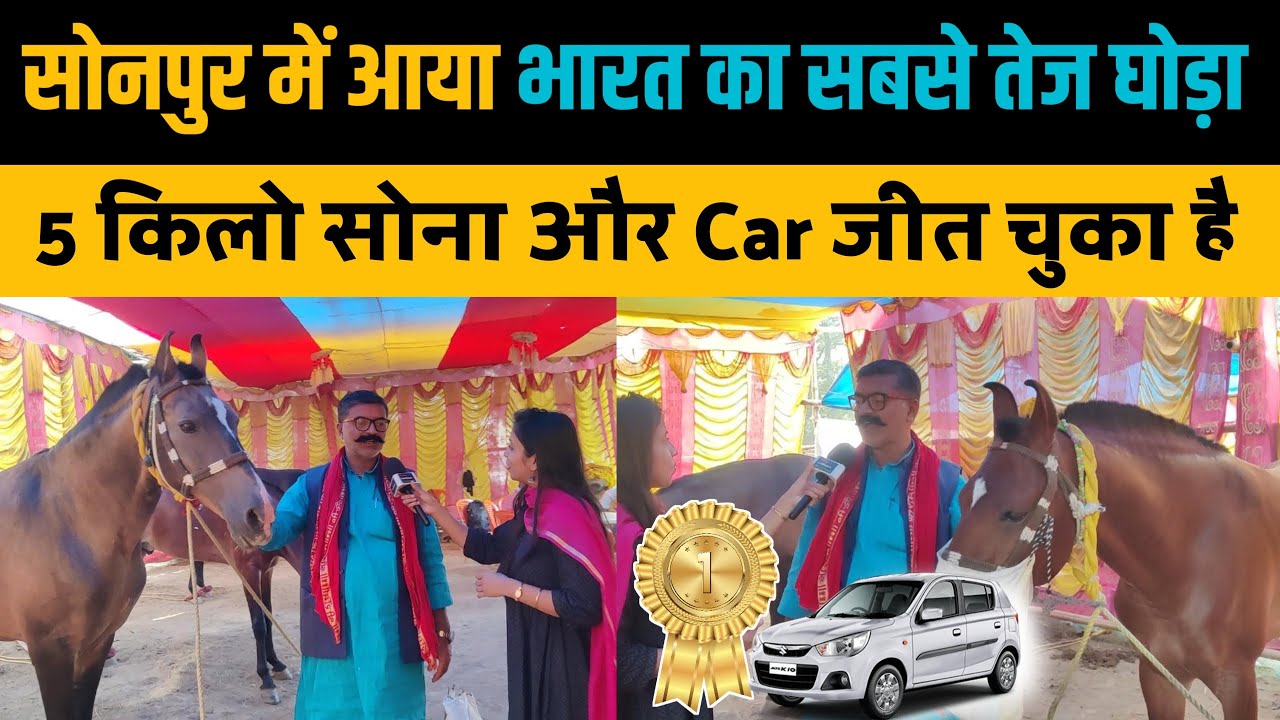 भारत का सबसे तेज घोड़ा आया सोनपुर मेला। Sonpur Mela 2024। Sonpur Mela ...