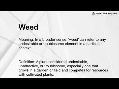 Weed Meaning - YouTube