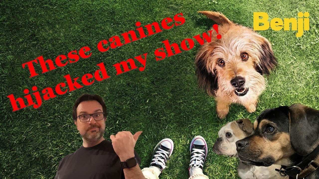 Dogs give their review of Benji 2018 - YouTube
