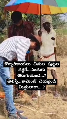 @Geologist suman@ చీమల పుట్టలో నీళ్లు ....వచ్చాయా..మీ భూమిలో?7659095430 ...