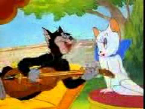 Leyli & Mäcnun pisik prikol