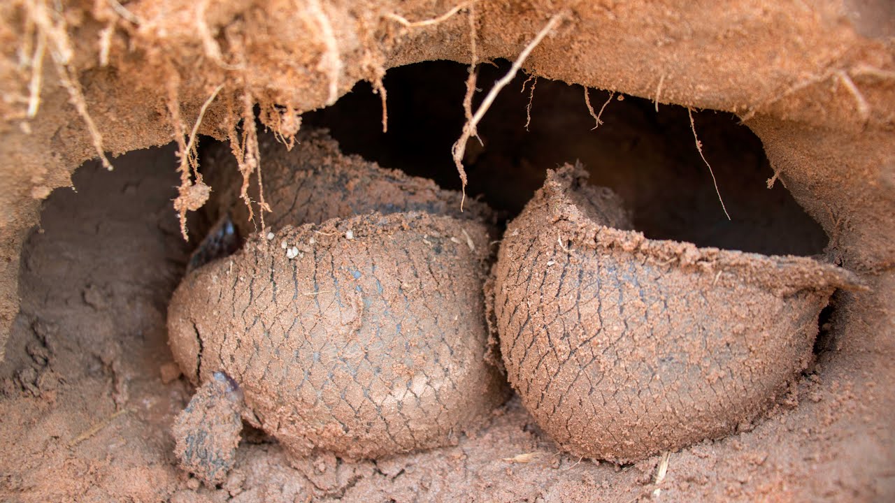 Exciting Fishing! Found & Dig Underground Hole to Catch A Lot Of Big ...