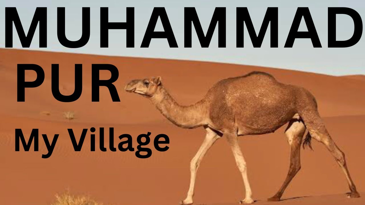 A Trip To A Muhammad Pur Village ! ️ - YouTube