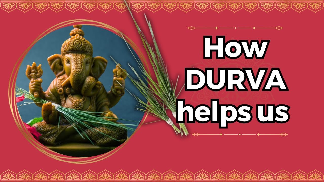 How we can take help of durva in our day today life …#ganeshchaturthi # ...