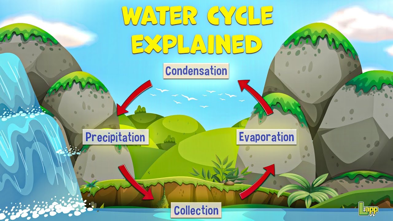 Condensation & Water Cycle Explained with Everyday Example | Science ...