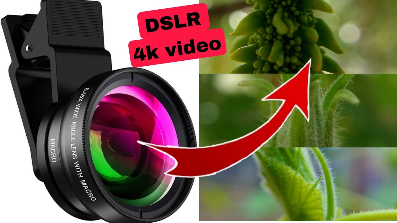 4k video | phone lens | sony xpria 5ii - YouTube