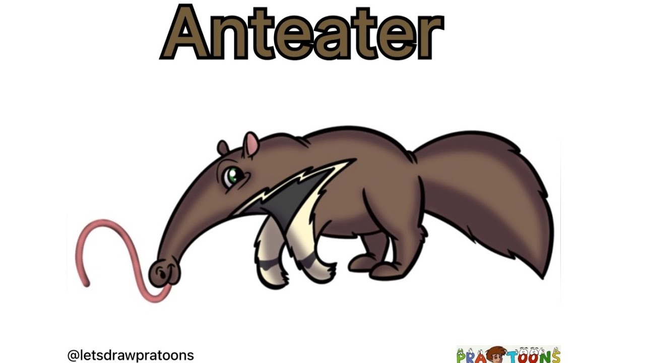 Let’s draw Anteater l | How to draw Anteater | Rain Forest Animals | Cartoon | Drawing ...