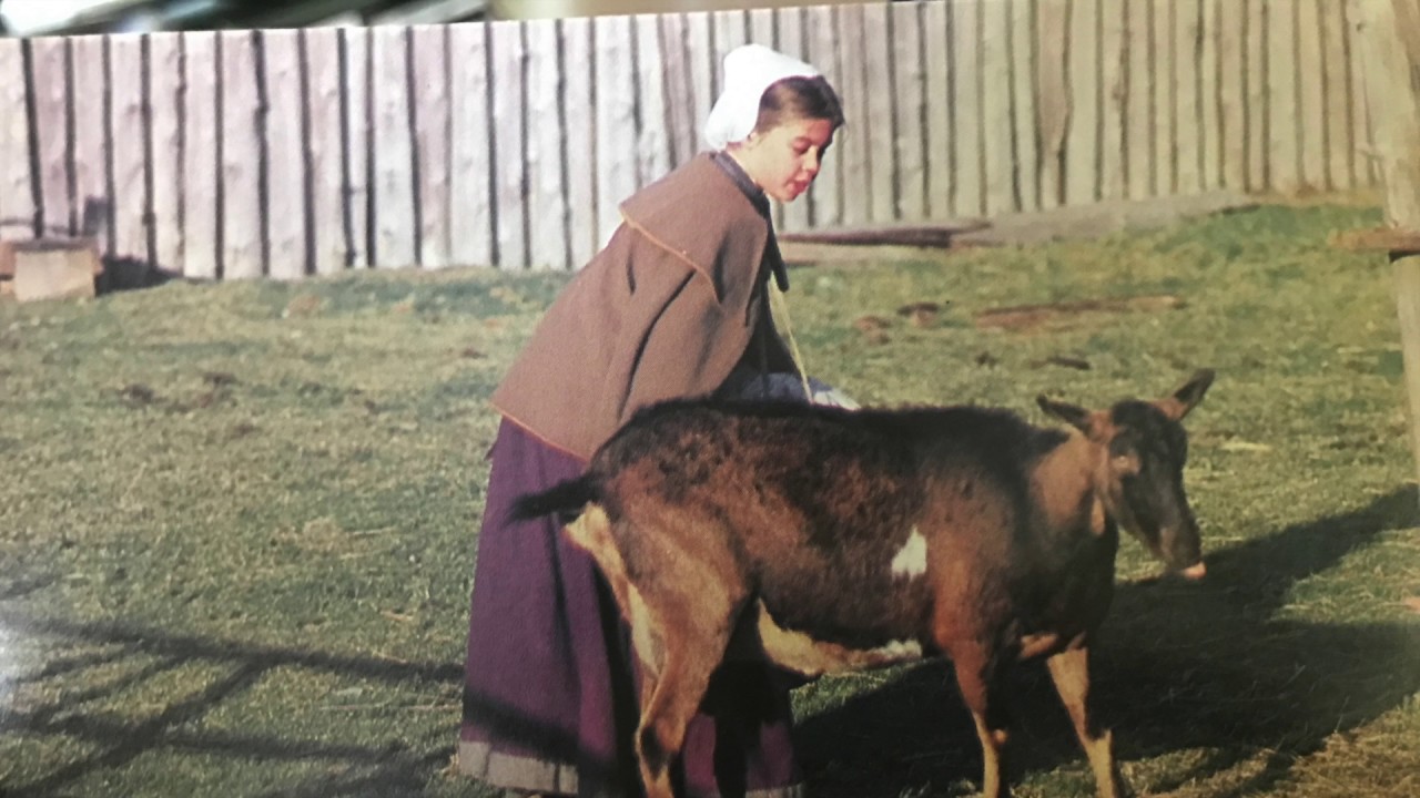 Sarah Morton's Day - Book Trailer - YouTube