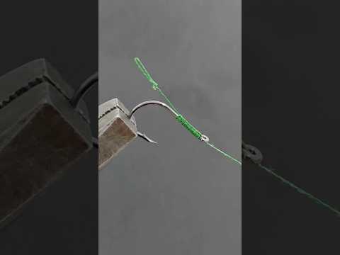 Special thread for carp fish