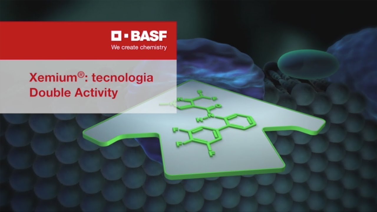 Xemium®: caratteristiche e meccanismo d‘azione - YouTube