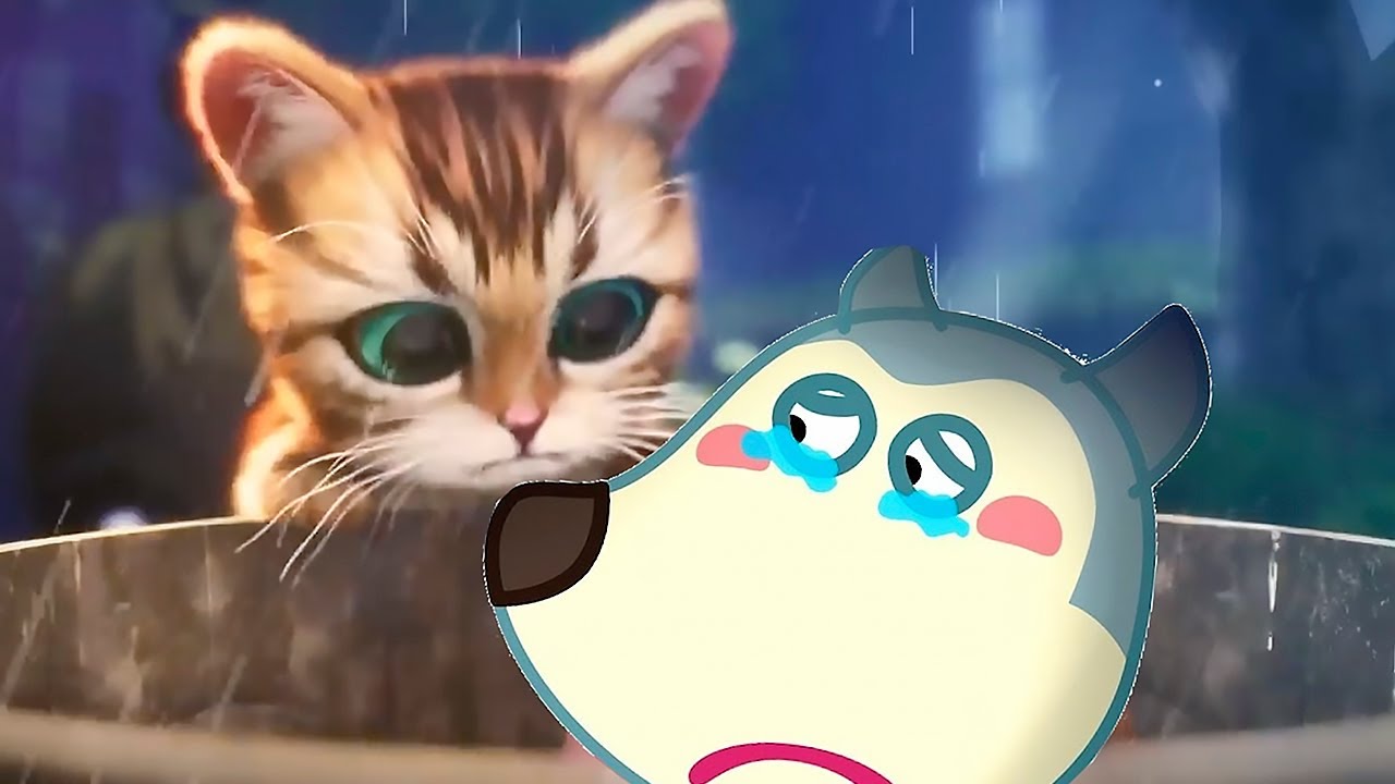 Wolfoo In Kitten Match World Ep 1 - YouTube