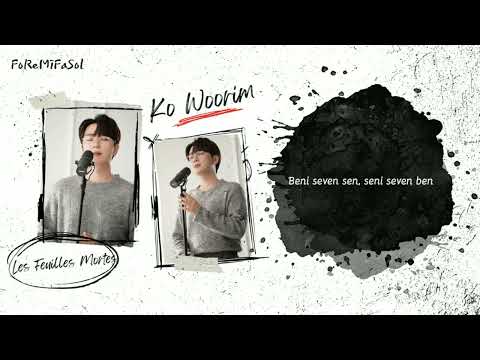 [Türkçe Çeviri] Ko Woorim(고우림) - Les Feuilles Mortes(Autumn Leaves)