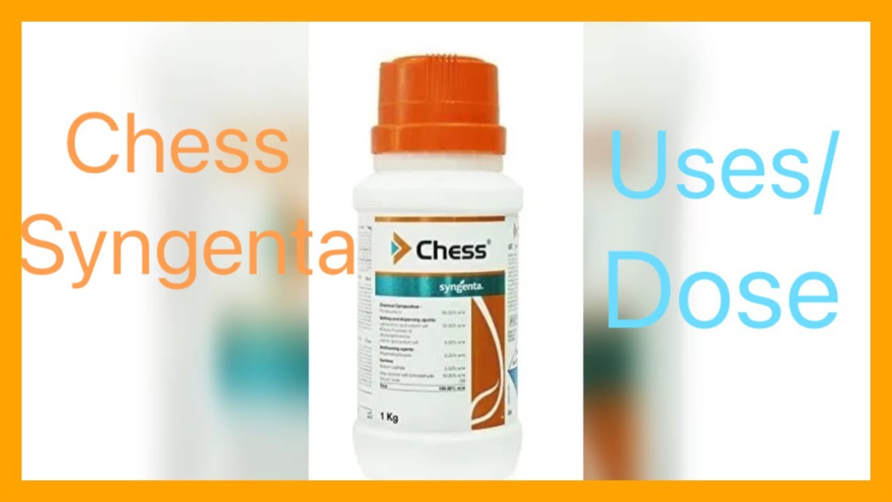 Chess | Pymetrozine 50%wg| Syngenta | #chess #rice #hopper - YouTube