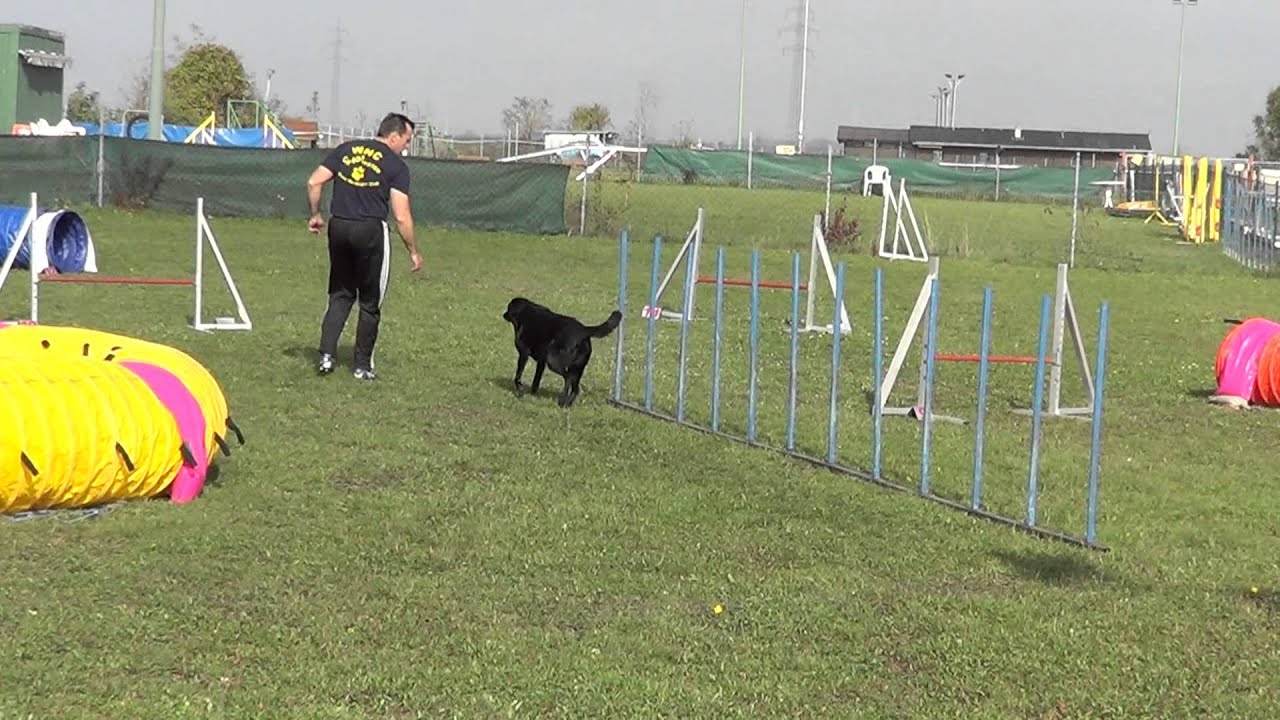 Peter & Chiara Jumping - YouTube