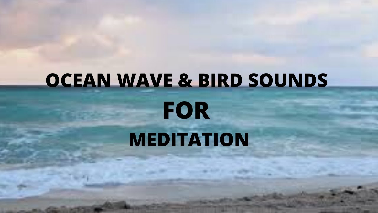 Ocean Wave and Bird sounds for Meditation - YouTube
