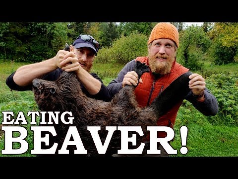 Catch, Cook, Clean Beavers in Survival (ft. Zach Fowler) - YouTube
