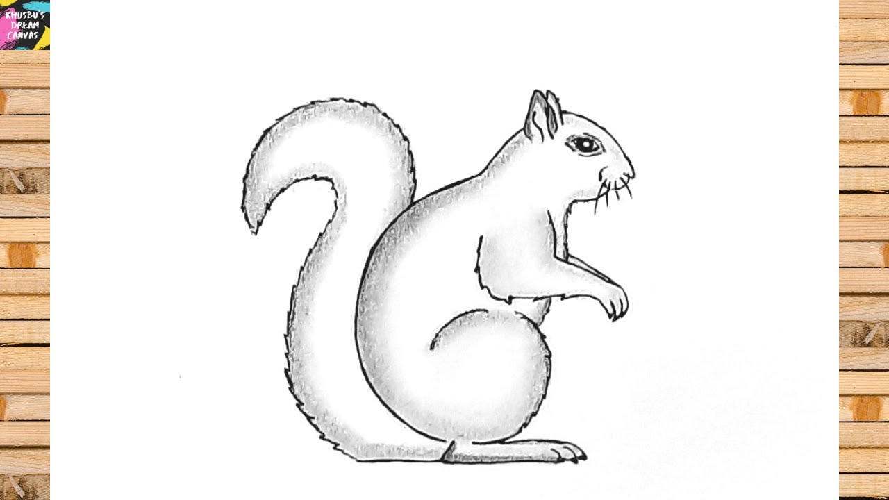 How to draw squirrel step by step | Squirrel drawing easy - YouTube