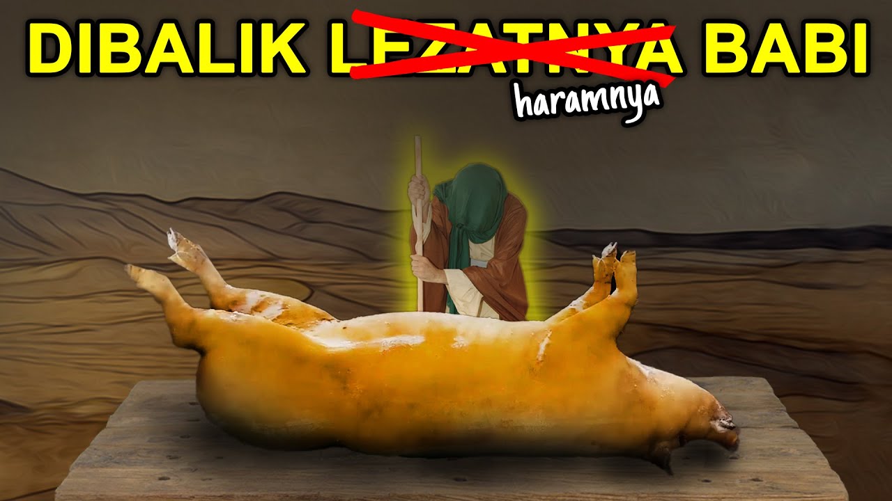 JANGAN SALAHKAN BABI..!! Sebelum Babi Haram, Ada Sejarah Dibaliknya ...