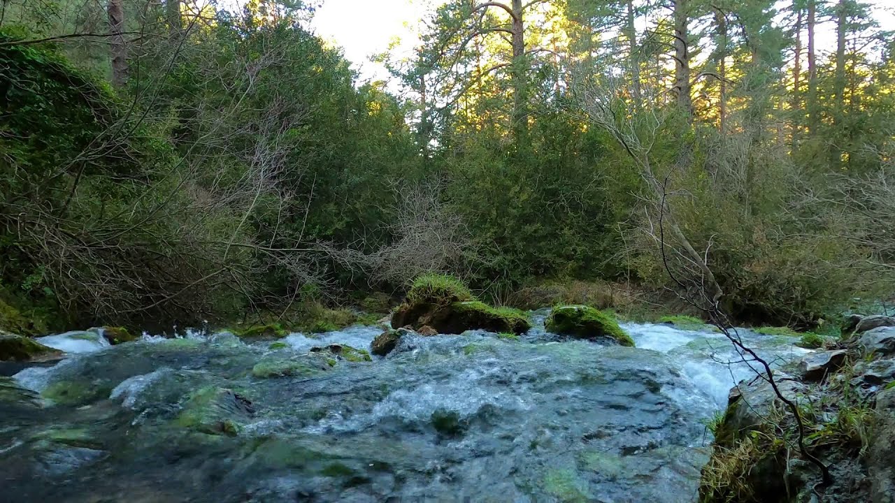 THE SOURCE OF THE RIVER / NATURE SOUNDS, WATER STREAM, RIVER SOUNDS ...