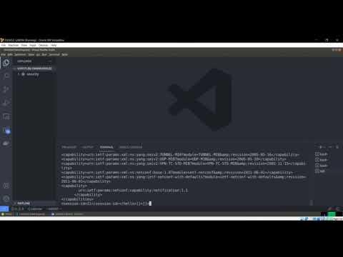 8.3.6 Lab - Use NETCONF to Access an IOS XE Device - YouTube