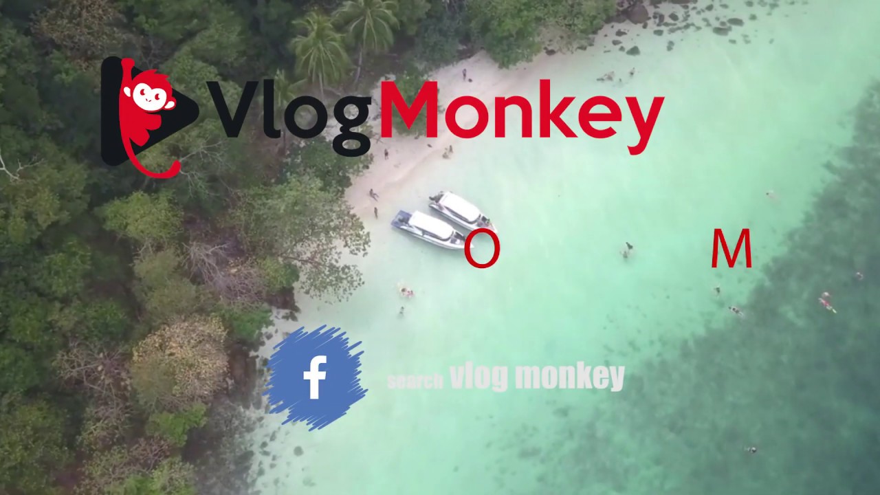 Vlog Monkey - Discover Great New Vlogs Every Day - YouTube