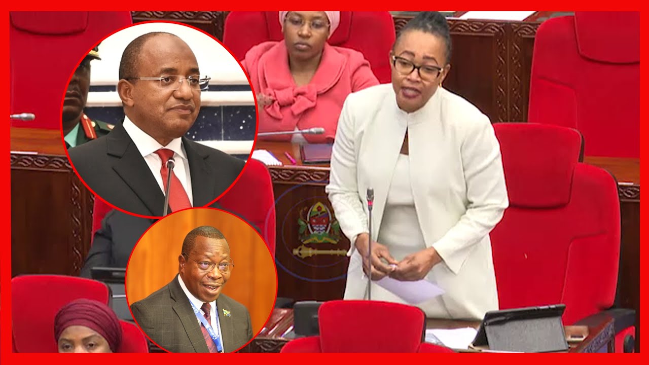 MBUNGE ESTHER MATIKO ALIVYOWATAJA RAIS MWINYI NA DKT. MPANGO BUNGENI ...