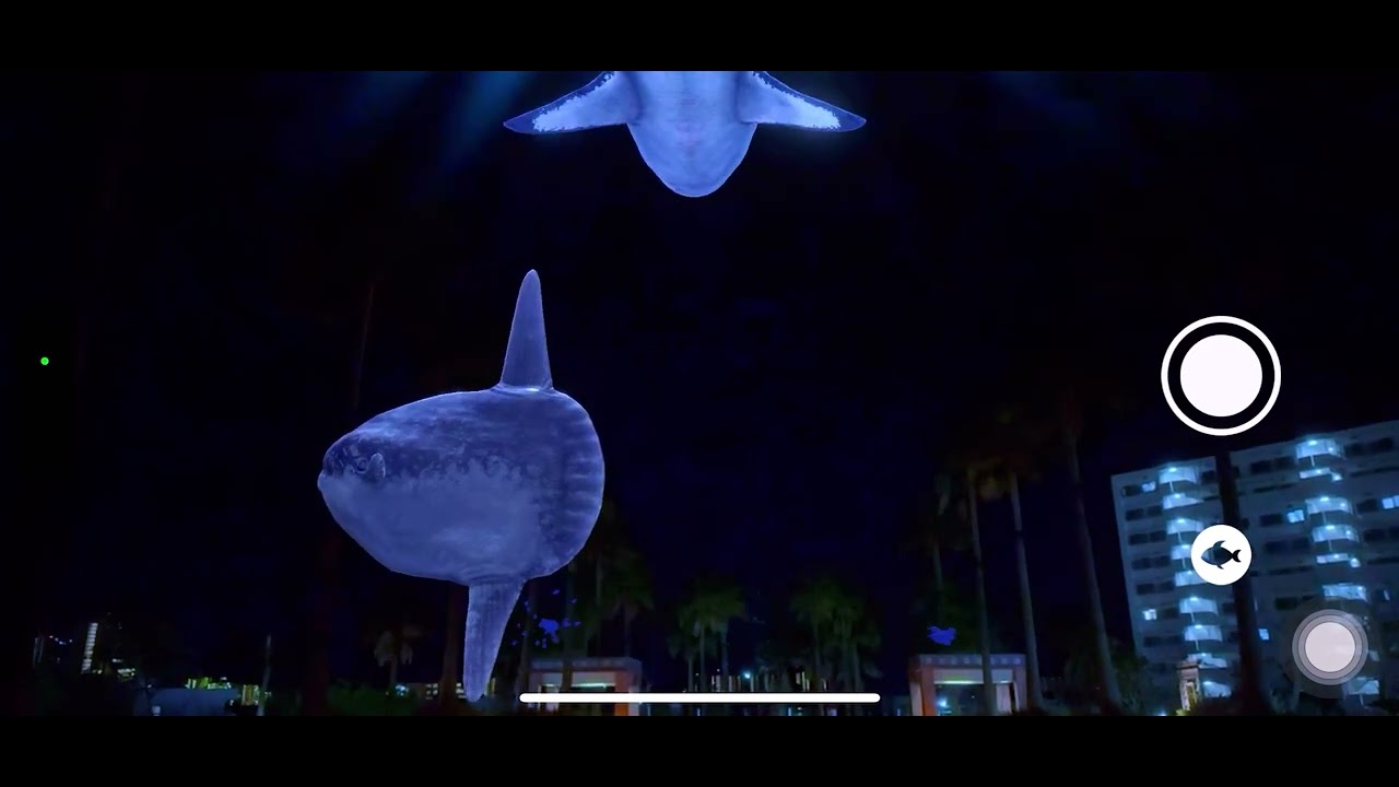 自分のいるところがどこでも水族館に AR TOUR OCEAN - YouTube