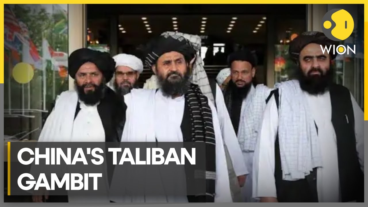 China's new relationship with Taliban | Taliban hails new Chinese ambassador - YouTube
