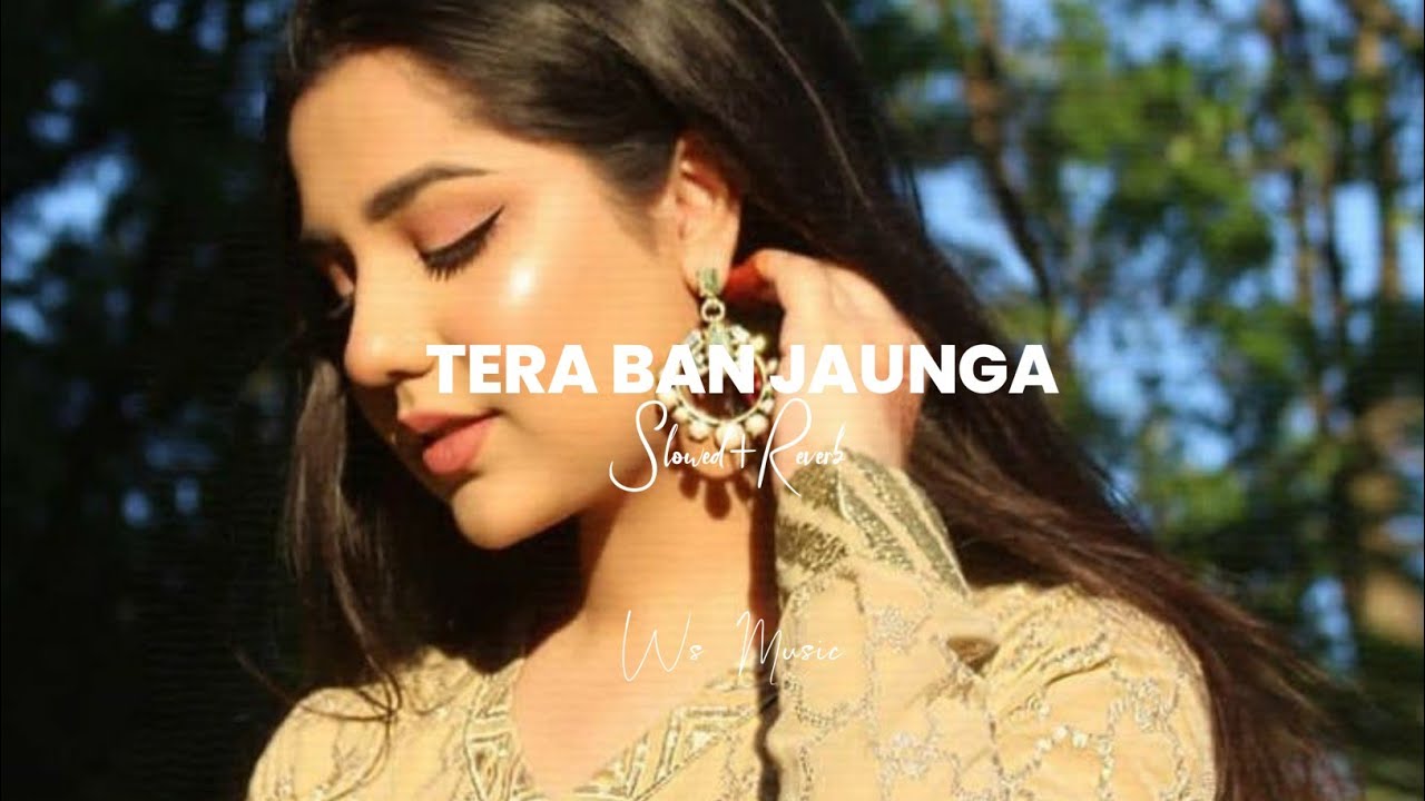 TERA BAN JAUNGA _ SLOWED+ REVERB _ LOFI SONG _ WS MÙSÌC - YouTube