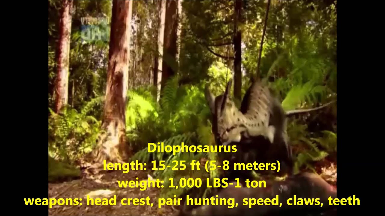 prehistoric Fight Club Episode 15: Valentines Day Special - YouTube