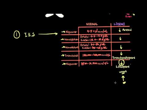 Lösemi Teşhisi (Sağlık ve Tıp)