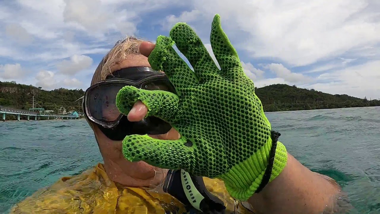 Octopus And Friendly Fish YouTube octopus-and-friendly-fish-youtube