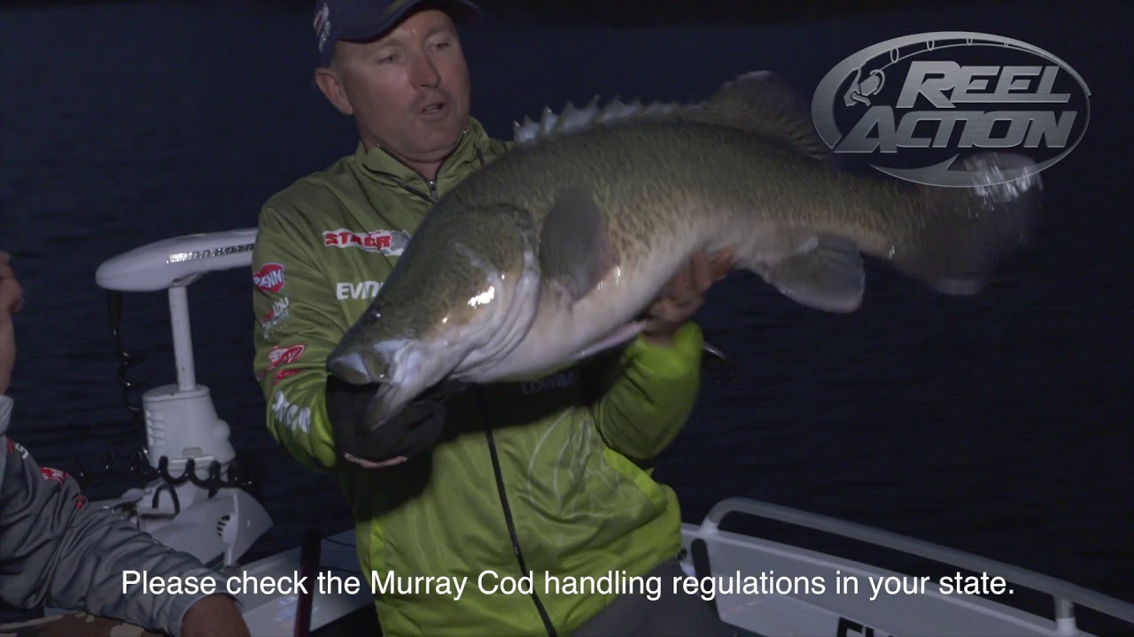 Murray Cod on Soft Plastics with Michael Guest - YouTube
